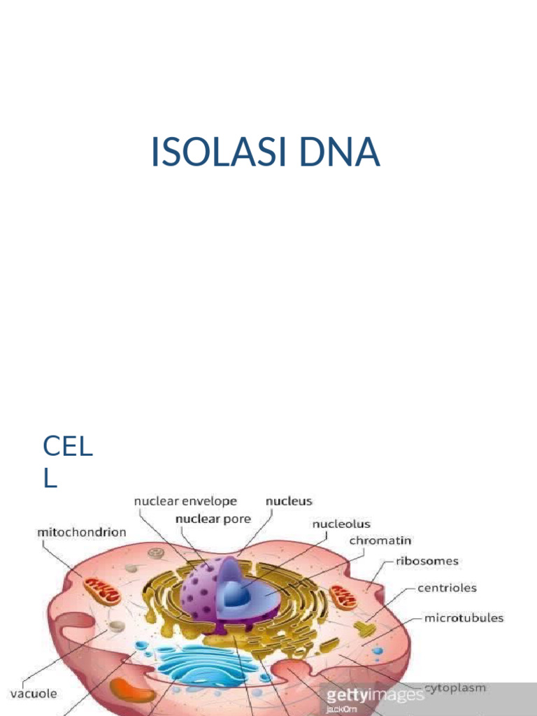 Isolasi DNA (2) (Disimpan Otomatis) | PDF