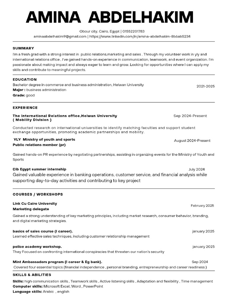 Amina AbdelHakim 2 | PDF