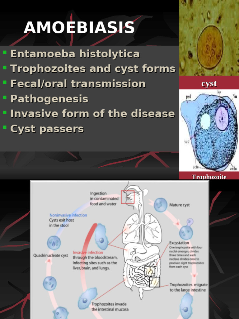 ANTI AMOEBIC DRUGS by Brig Najmi | PDF | Microbiology | Medical Specialties