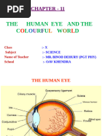 NCERT Books For Class 10 Science Chapter 11 Human Eye and Colorful World | PDF | Rainbow | Eye
