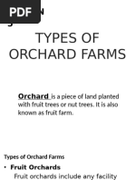 Agri Lesson 5 - Types of Orchard Farm | PDF | Trees | Fruit