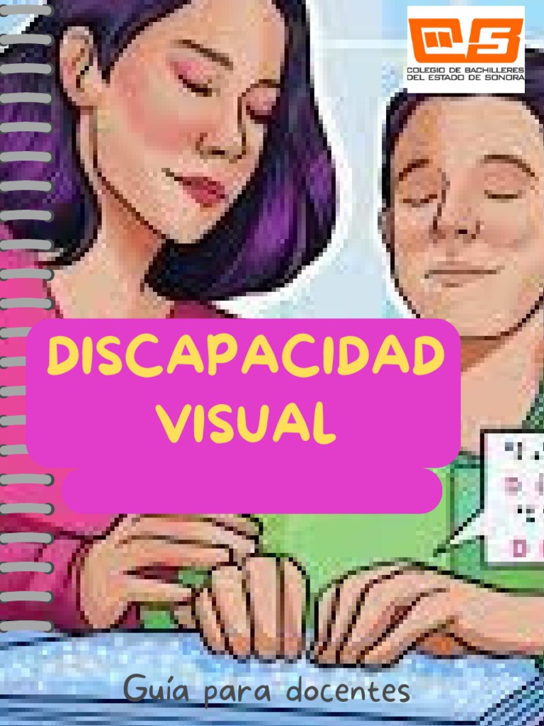 Guía Educativa sobre Discapacidad Visual | PDF | Discapacidad visual ...