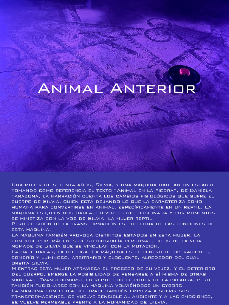 Transformación Humano-Animal en "Animal Anterior" | PDF | Buenos Aires ...
