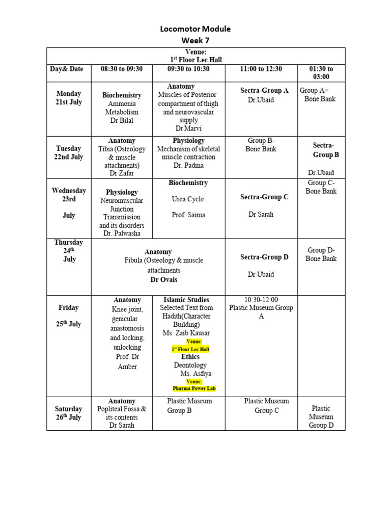 21.07.2025 Updated 1st Year MBBS TT Locomotor Module Week-7 | PDF | Lower Limb Anatomy ...
