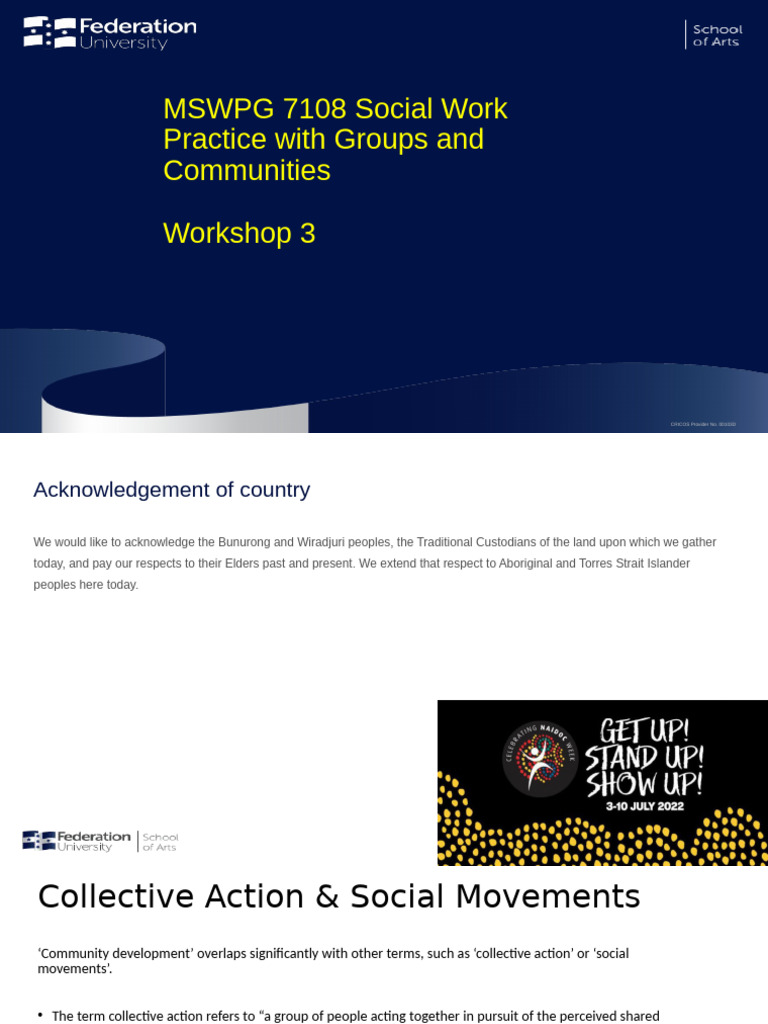 MSWPG7108 Workshop 3 | PDF | Social Movements | Activism