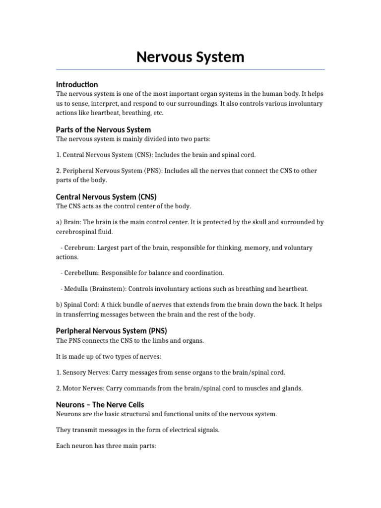 Overview of the Nervous System | PDF | Central Nervous System | Nervous ...