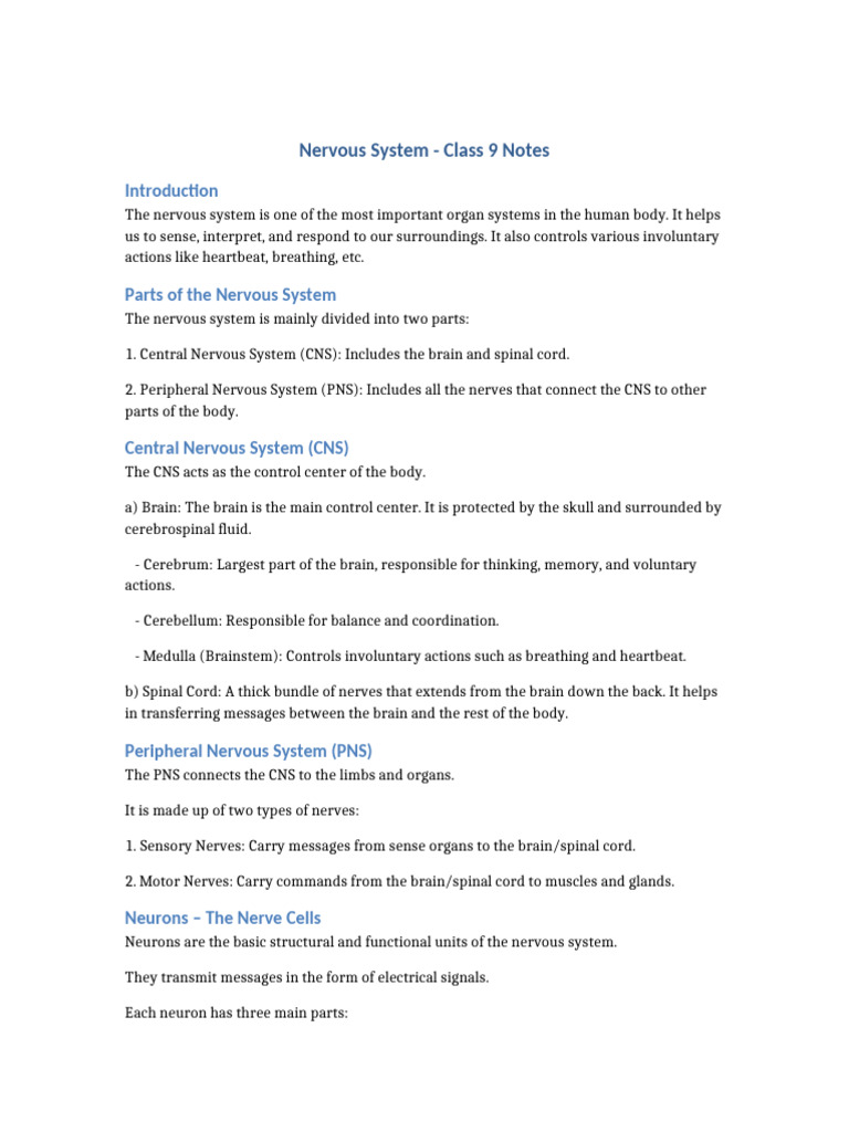 Nervous System Overview for Class 9 | PDF