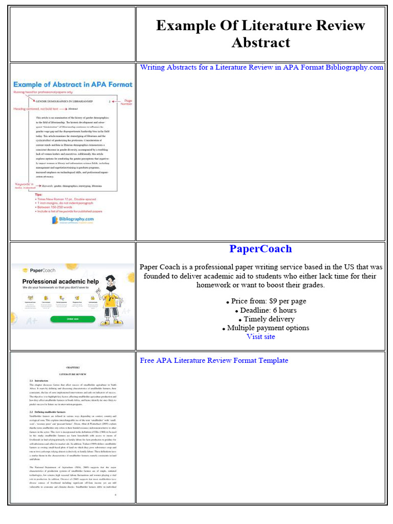 Example of Literature Review Abstract | PDF | Brand | Essays