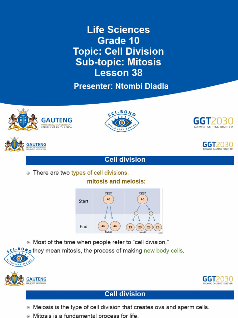 Life Sciences Gr.10 Lesson 38 Cell Division (Mitosis) | PDF | Meiosis ...