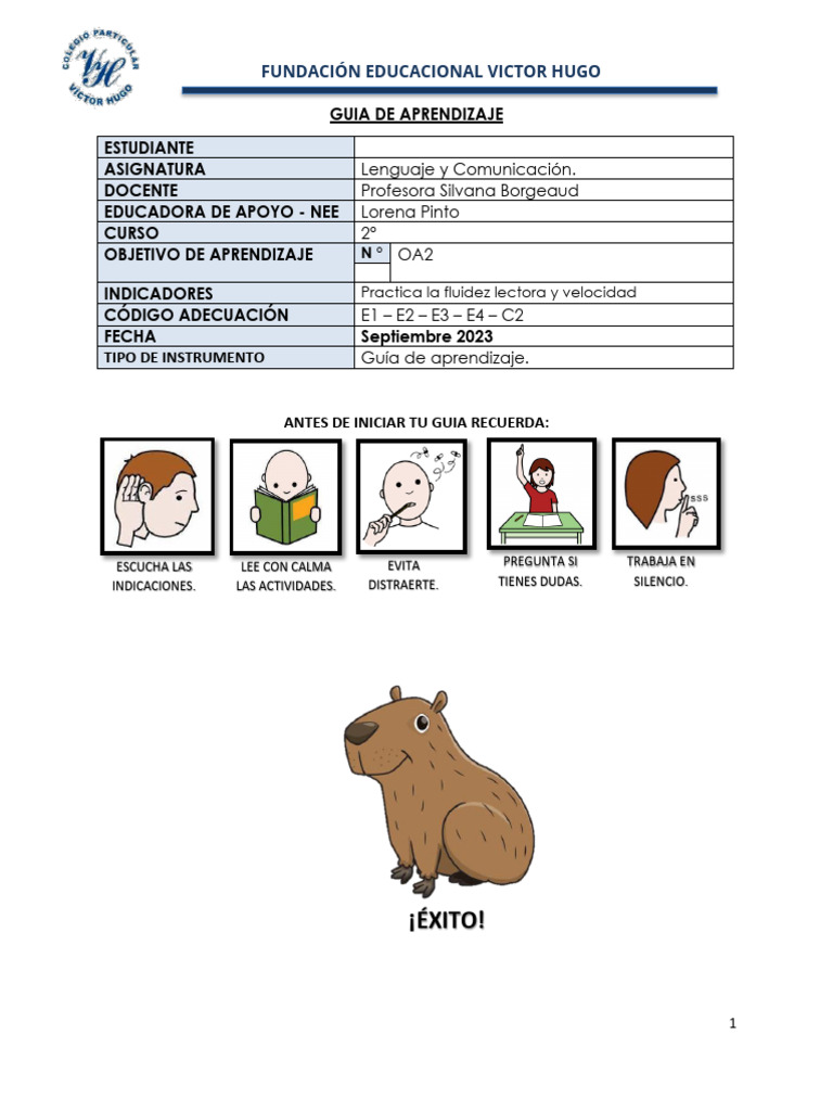 Fluidez Lectora-Velocidad (LECTORES) 37 Copias | PDF | Aprendizaje ...