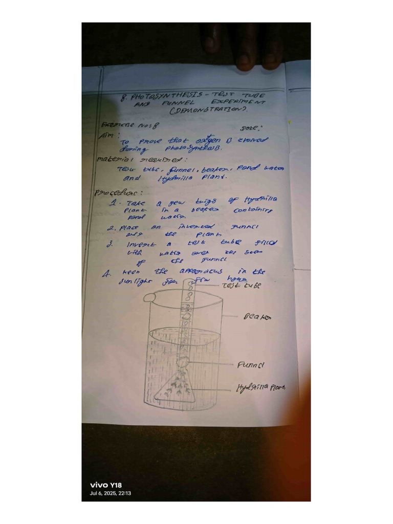 Science Practical | PDF