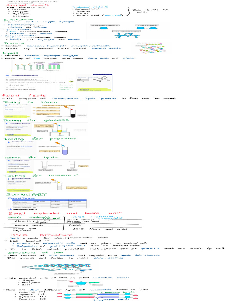 Chap4 Biological Molecule | PDF