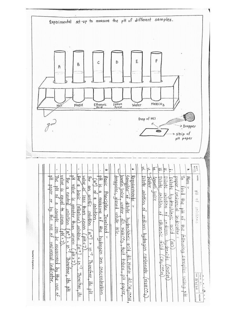 10th Science Practicals | PDF