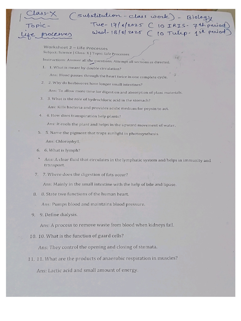 Life Processes Worksheet 2 | PDF