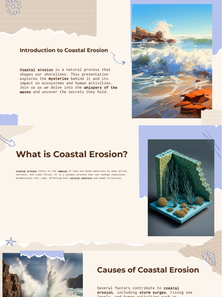 Understanding Coastal Erosion Dynamics | PDF | Coast | Beach
