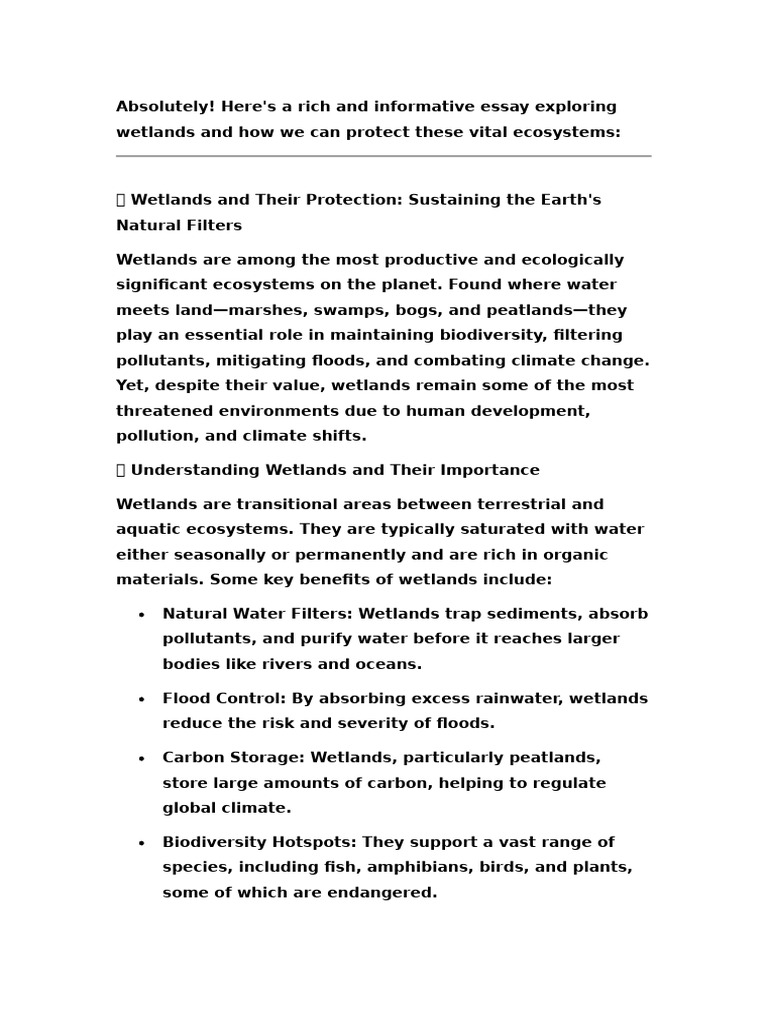 Wetlands and Their Protection Sustaining The Earth's Natural Filters ...
