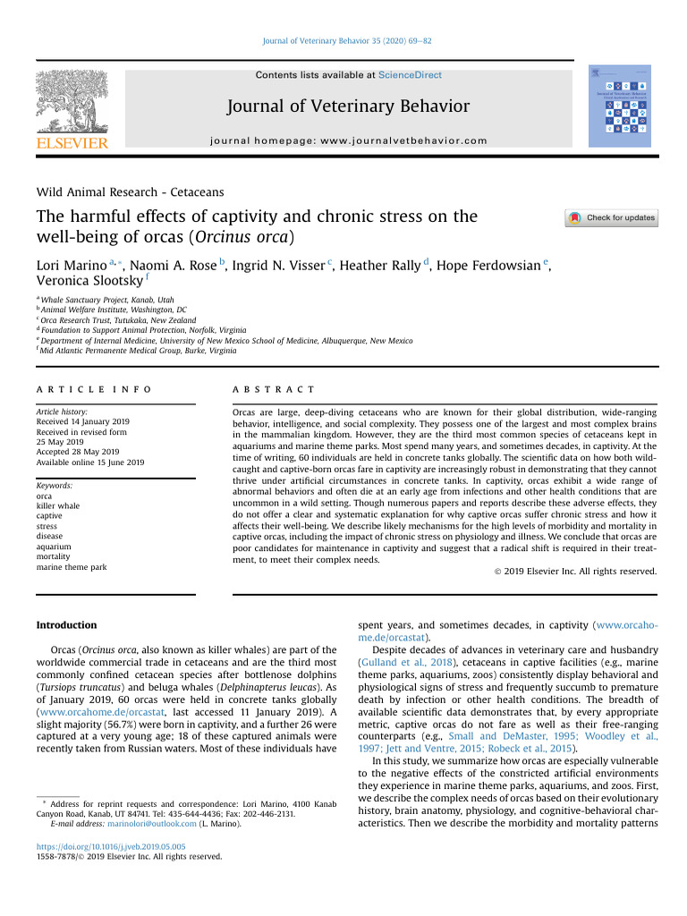 Orcas in Captivity: Stress and Health Risks | PDF | Limbic System | Cetacea