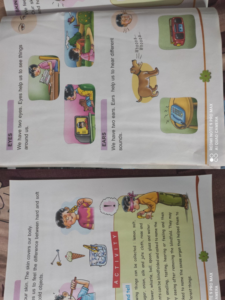 Haneesha EVS Book | PDF