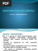 Small Pleomorphic Gram-Negative Bacilli | PDF | Gram Negative Bacteria ...