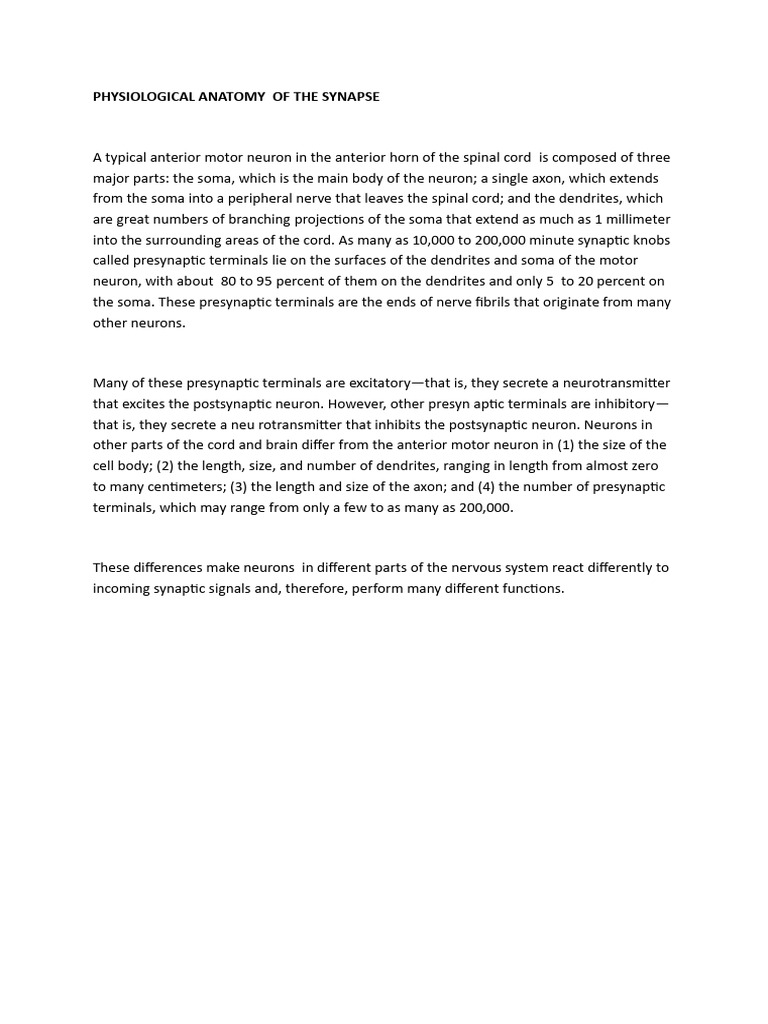 Physiological Anatomy of The Synapse | PDF