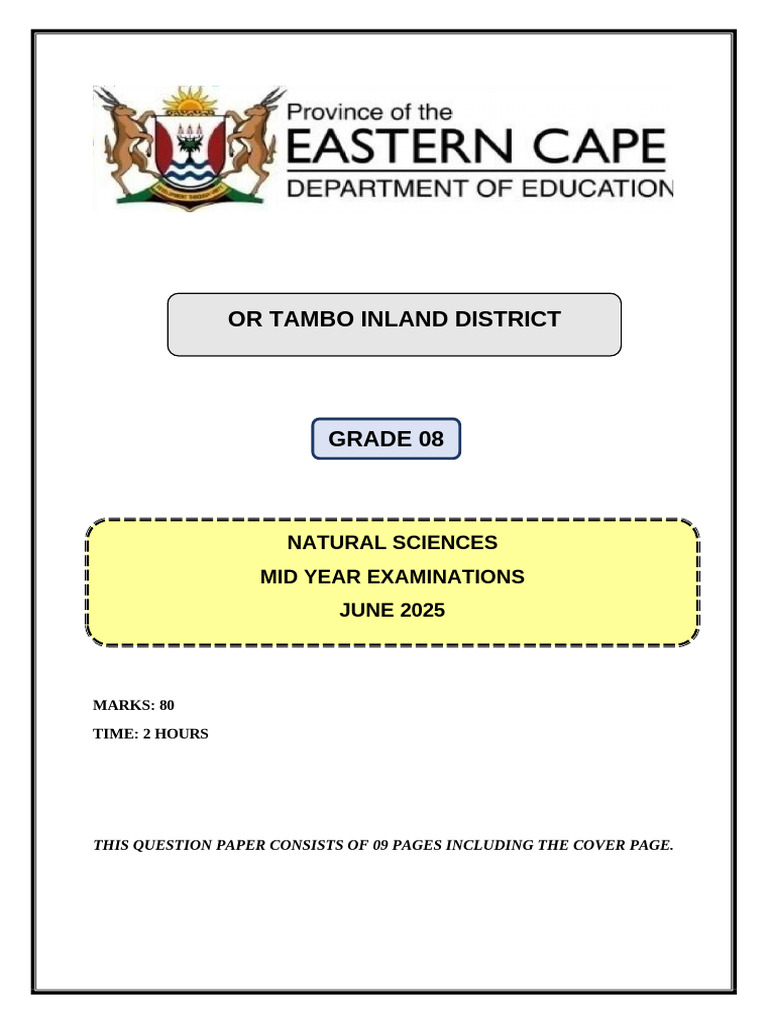 Ns Grade 8 June Question Paper | PDF | Chemical Elements | Gases