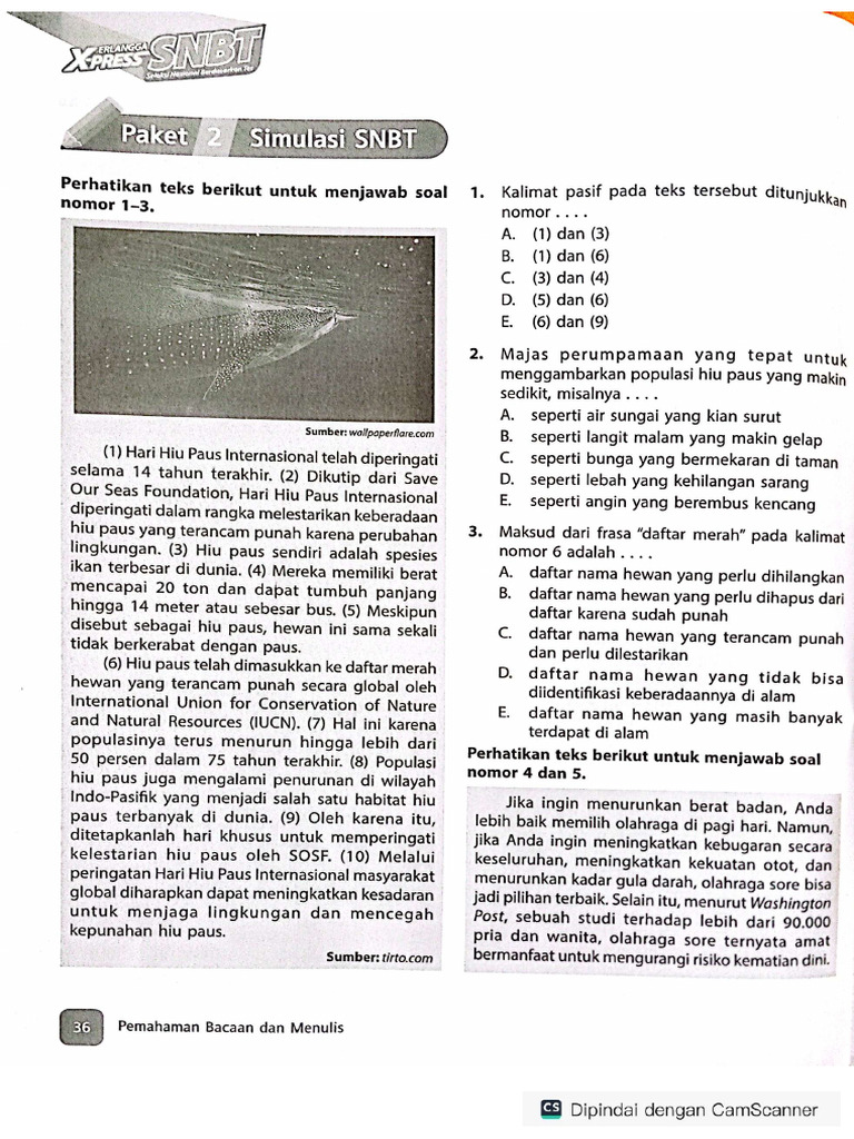 Literasi Bindo SNBT | PDF