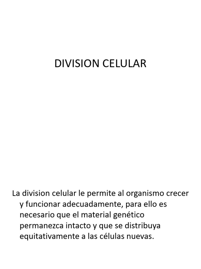 División Celular: Mitosis y Meiosis Explicadas | PDF