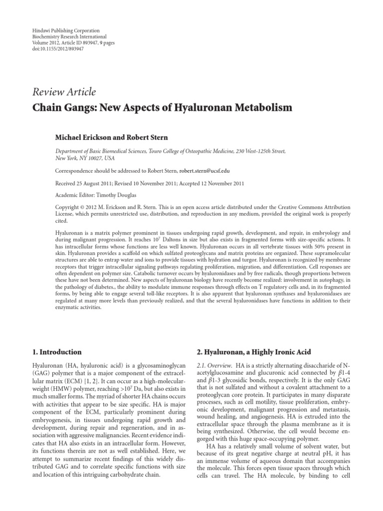 Hyaluronan Metabolism Insights | PDF | Extracellular Matrix | Enzyme