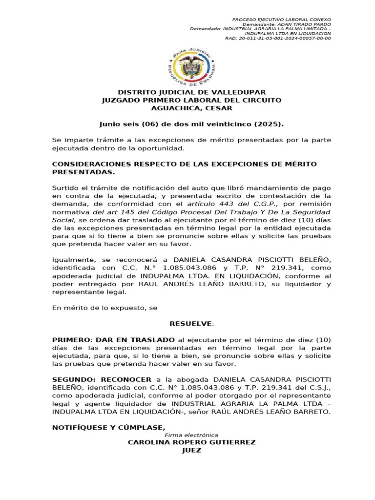 AutoTrasladoExcepciones2024 00057 | PDF