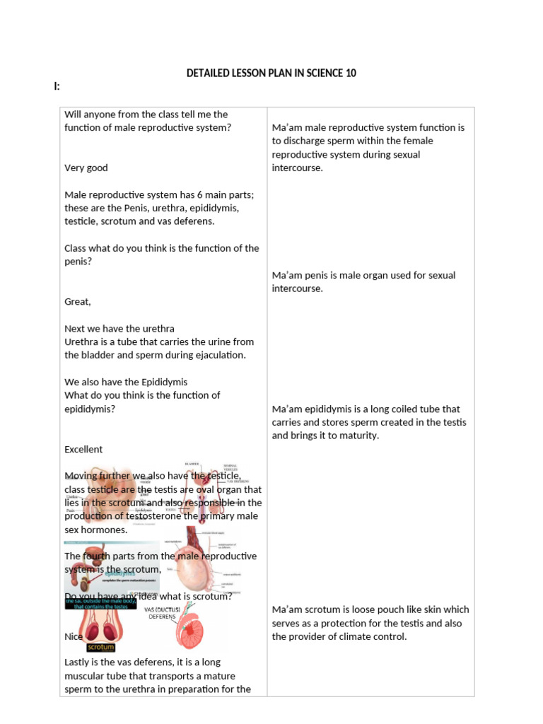 Detailed Lesson Plan in Science | PDF | Reproductive System | Menstrual ...