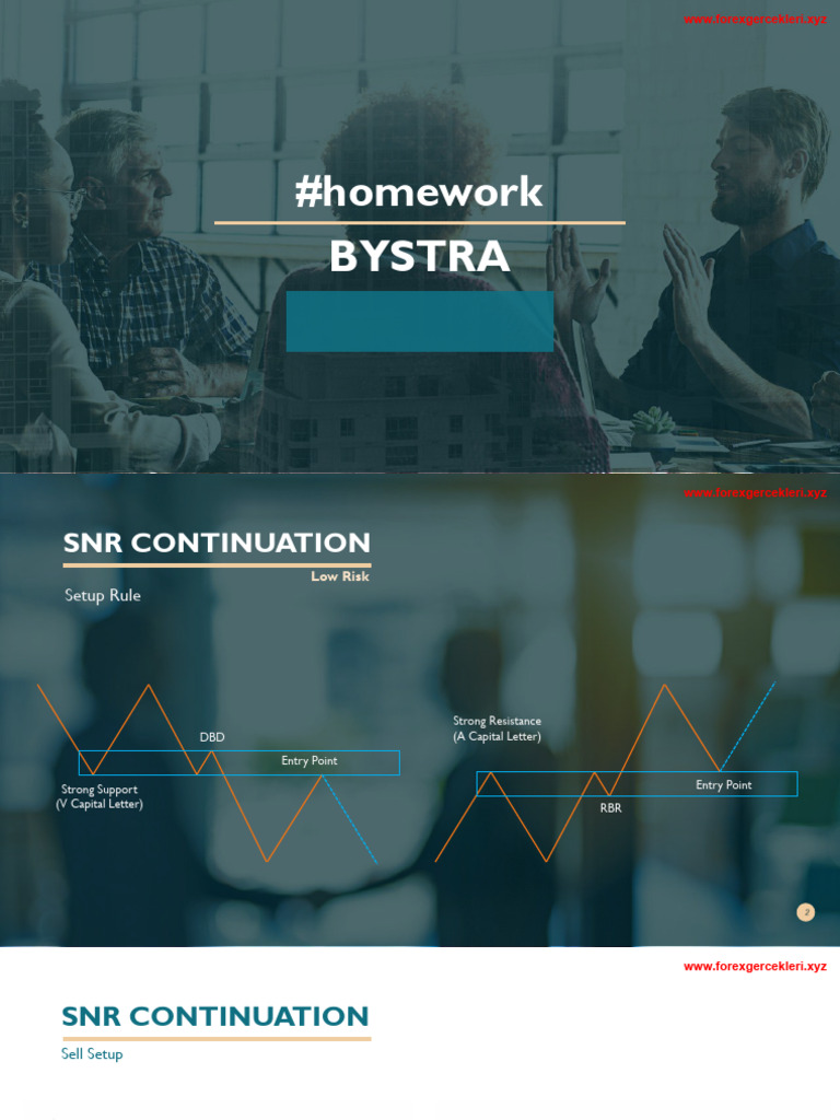 Bystra Trading Strategy Overview | PDF | Market Trend | Economic Sectors