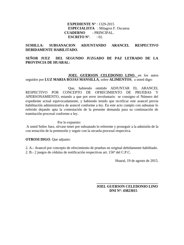 Subsanacion Joel Celedonio | PDF