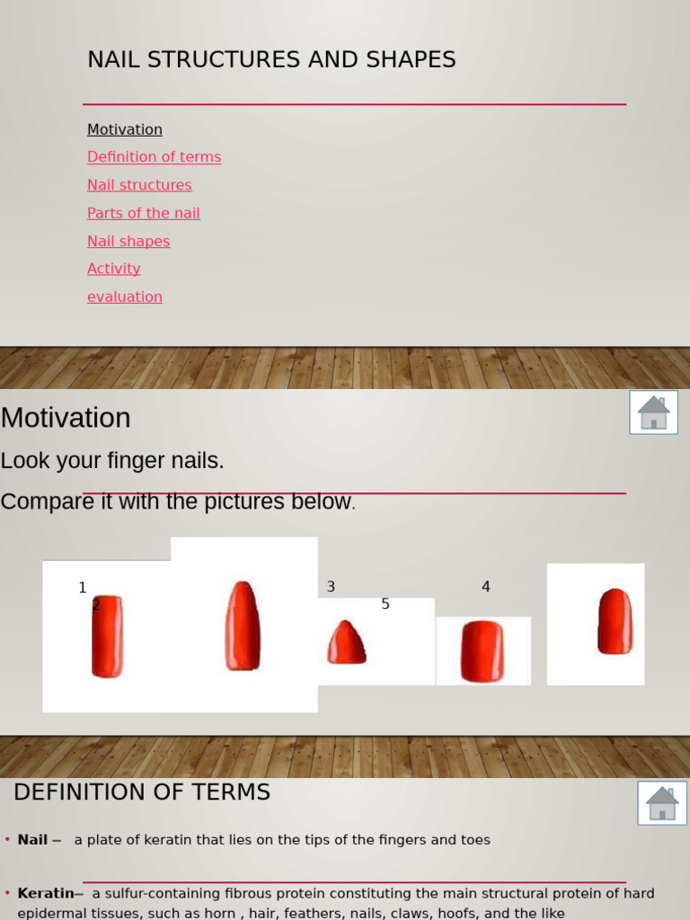 Nail Structures and Shapes | PDF | Nail (Anatomy) | Skin