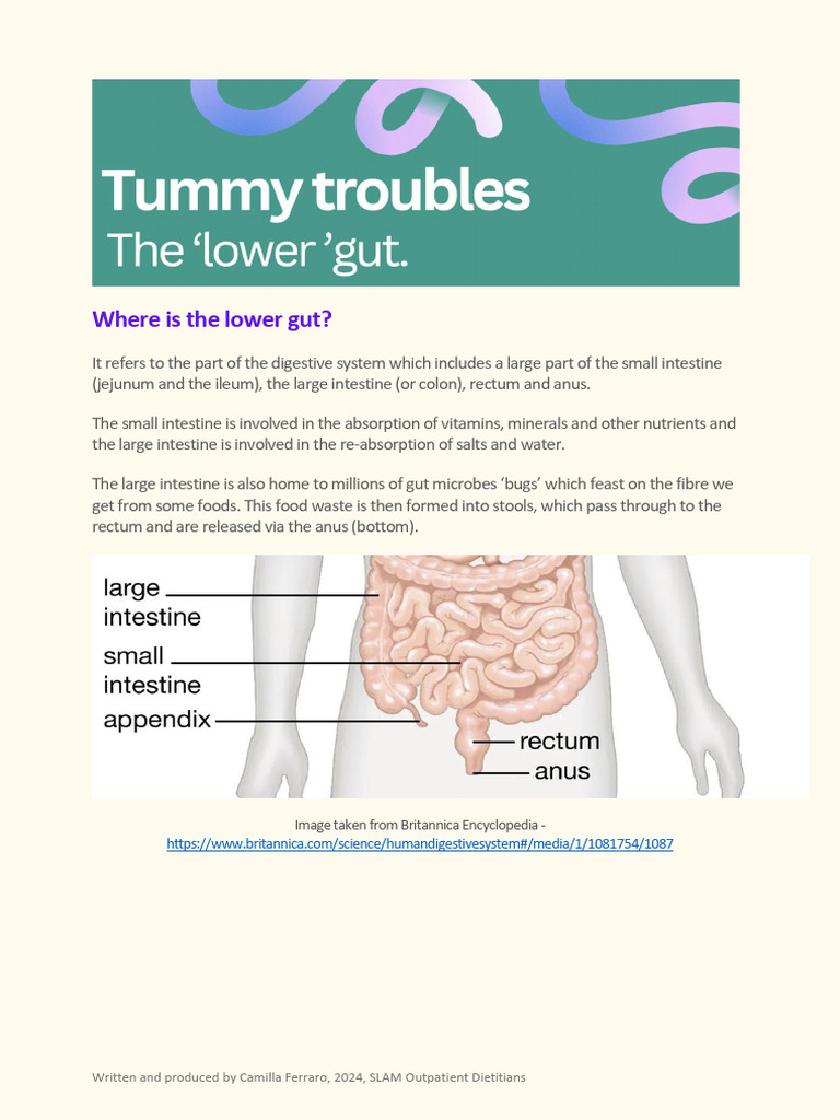Tummy Troubles Lower Gut-New Layout | PDF | Bloating | Gastrointestinal ...