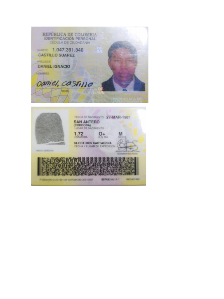 Cedula Daniel Castillo | PDF