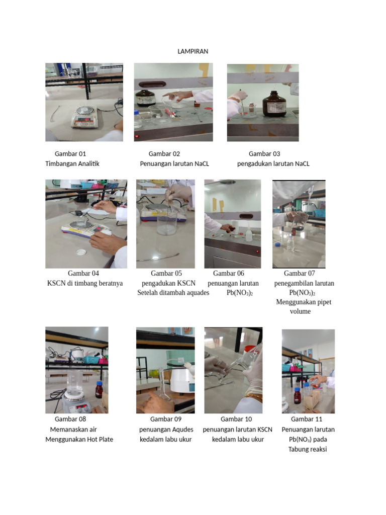 Proses Laboratorium NaCl dan KSCN | PDF