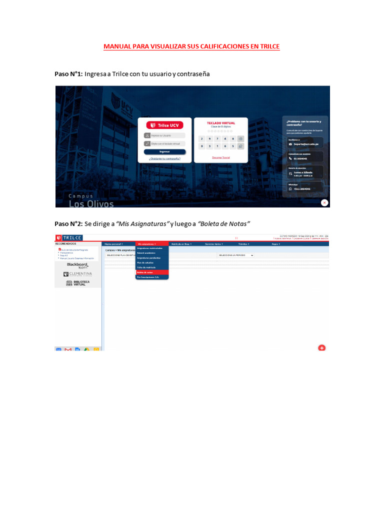 Manual para Visualizar Sus Calificaciones en Trilce | PDF