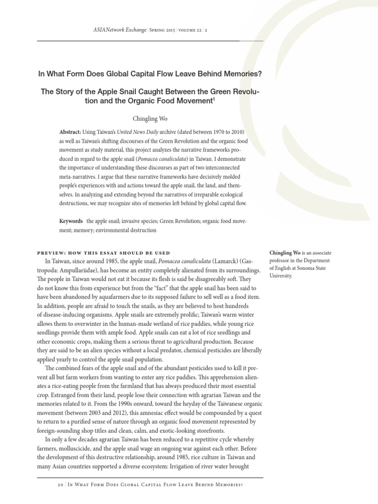 In What Form Does Global Capital Flow Leave Behind Memories? The Story ...