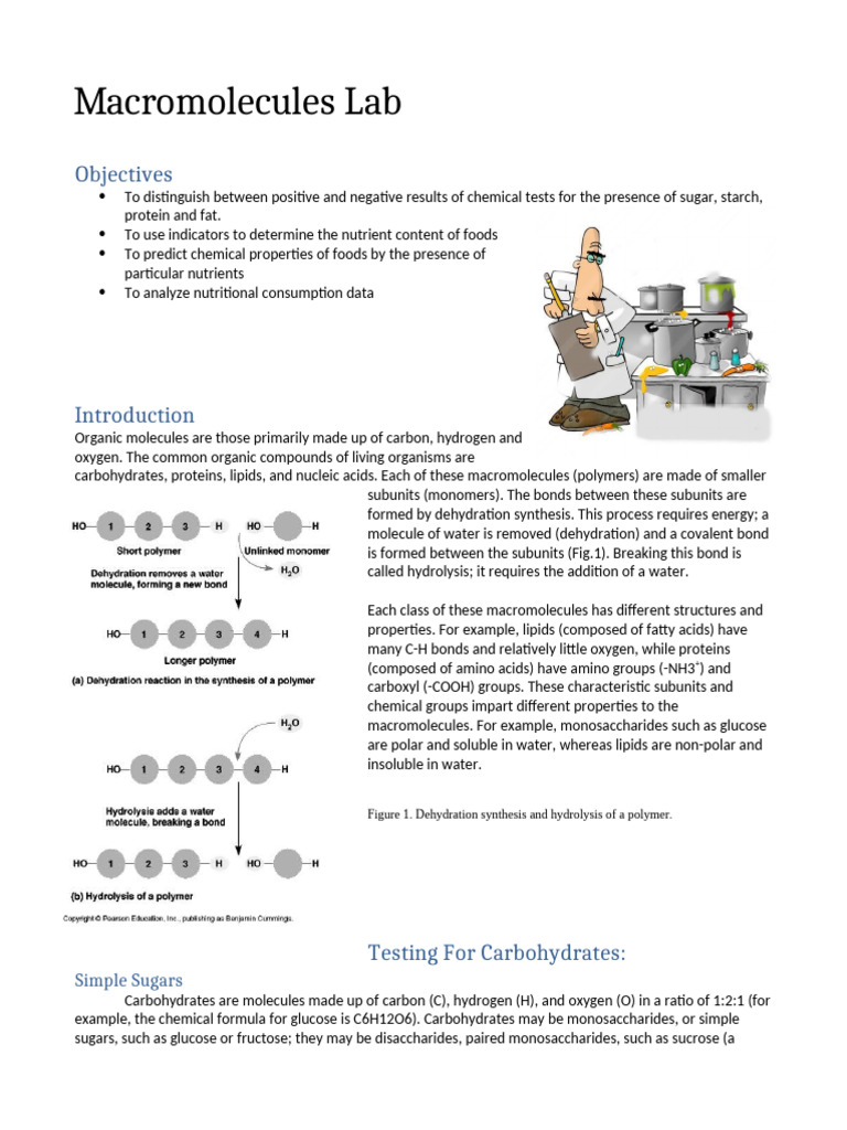 Macromolecules Lab - Virtual | PDF | Carbohydrates | Glucose