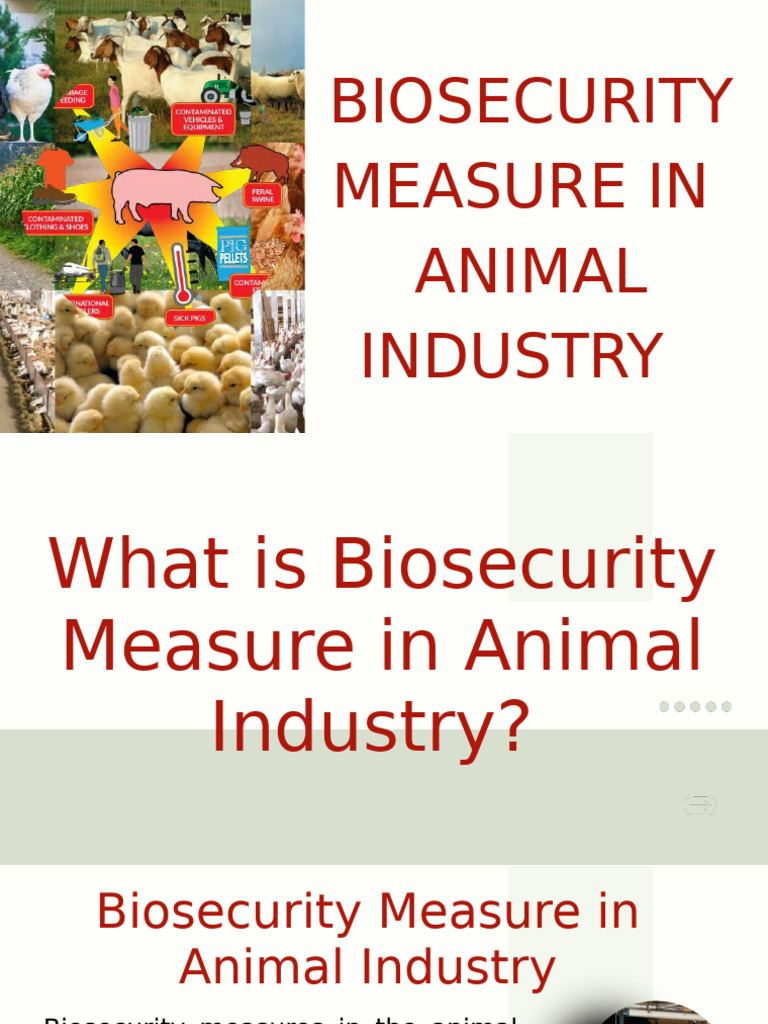 Biosecurity Measures in Animal Industry | PDF | Hygiene | Public Health