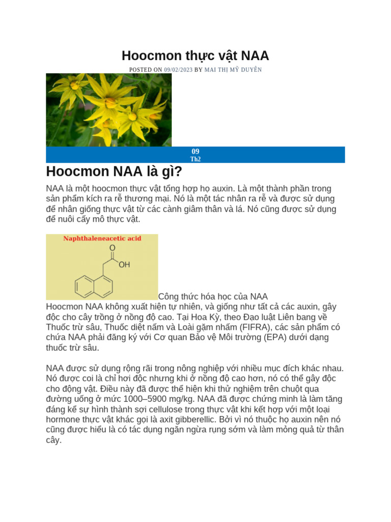 Hoocmon Thực Vật NAA | PDF