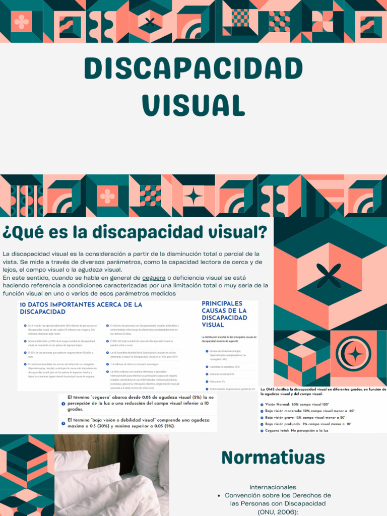 Normativas y Apoyos para Discapacidad Visual | PDF | Invalidez ...