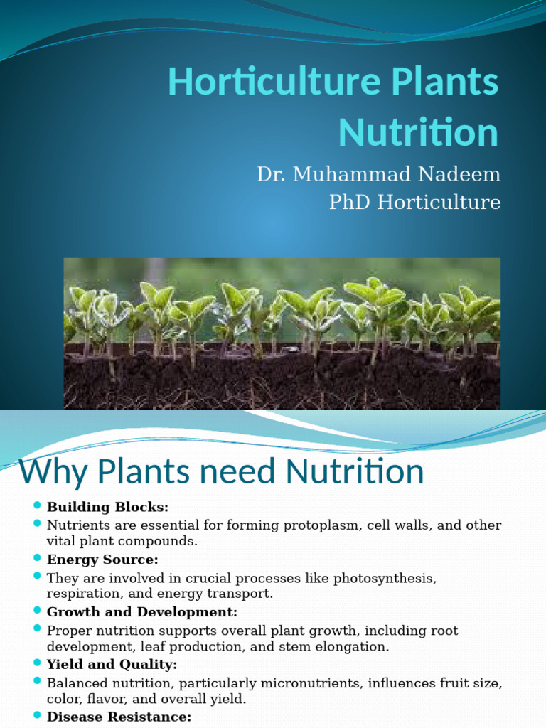 Essential Nutrients for Horticulture Plants | PDF | Plant Nutrition ...