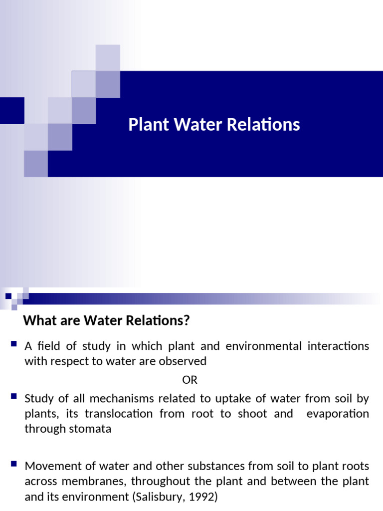 Understanding Plant Water Relations | PDF | Vacuole | Biology