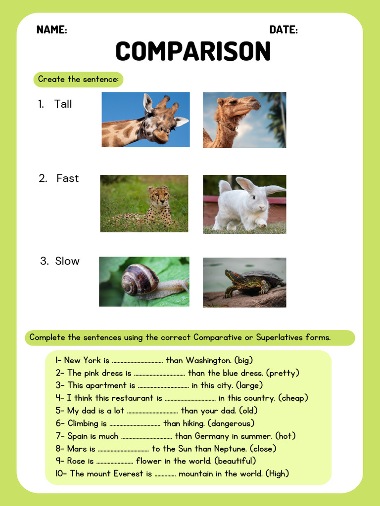Worksheet 1 (Adjective & Comparison) | PDF