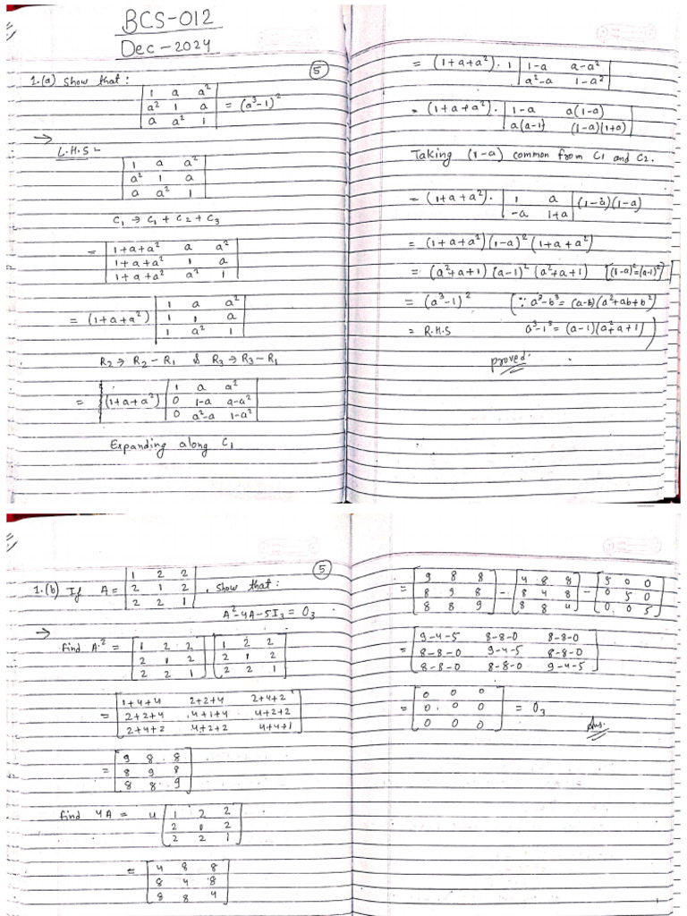 BCS 012 Dec 24 Solution | PDF