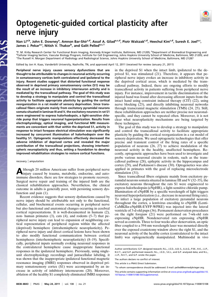 Optogenetics and Cortical Plasticity Post-Injury | PDF ...