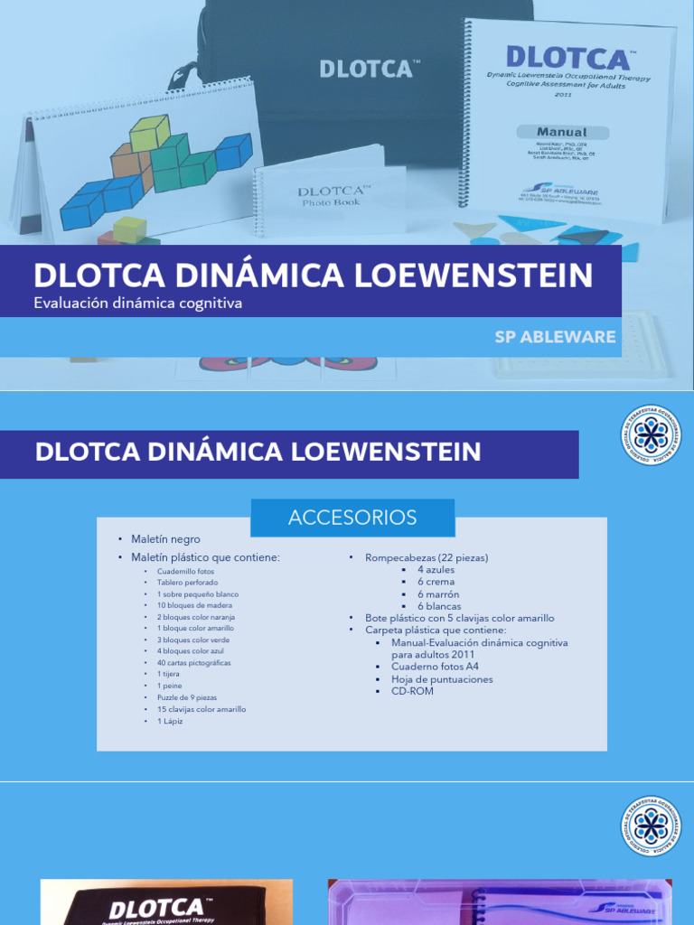 Dlotca Dinmica Loewenstein | PDF