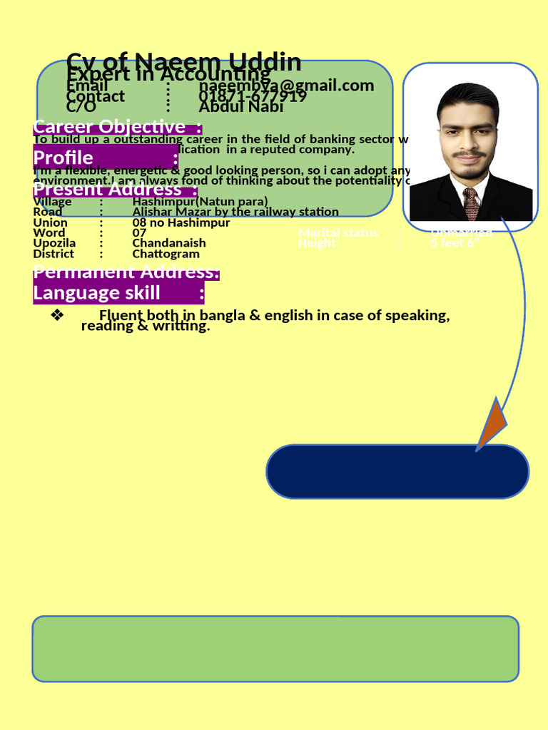 Resume of Naeem Uddin 2024 | PDF