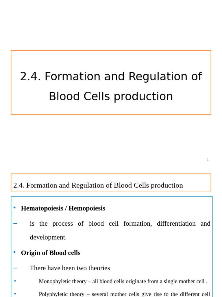 Blood Cell Formation and Regulation | PDF | Haematopoiesis | Granulocyte